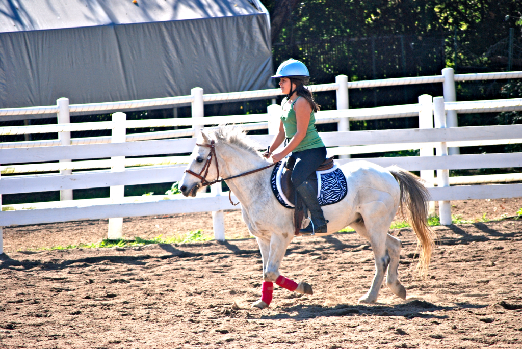 Educational Summer Camps for Kids | Chicago, IL