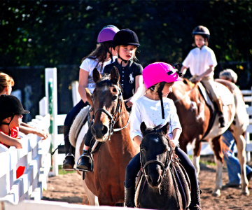 Horseback Riding | Chicago, IL