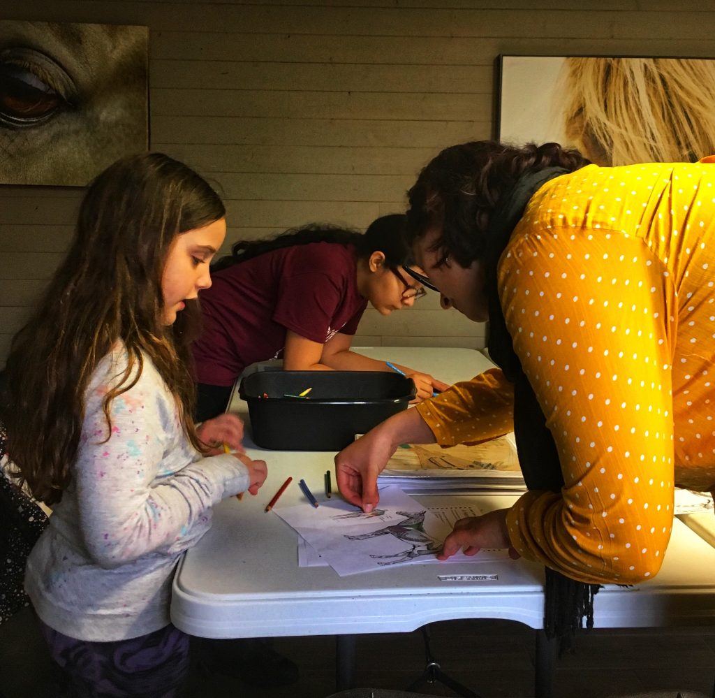 Homeschool Programs | Chicago, IL