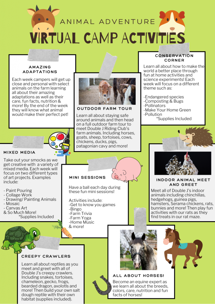 Virtual Animal Adventure Camp | Double J Riding Club